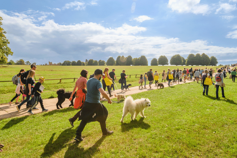 Craft shop Hobbycraft announce a new Luton store opening